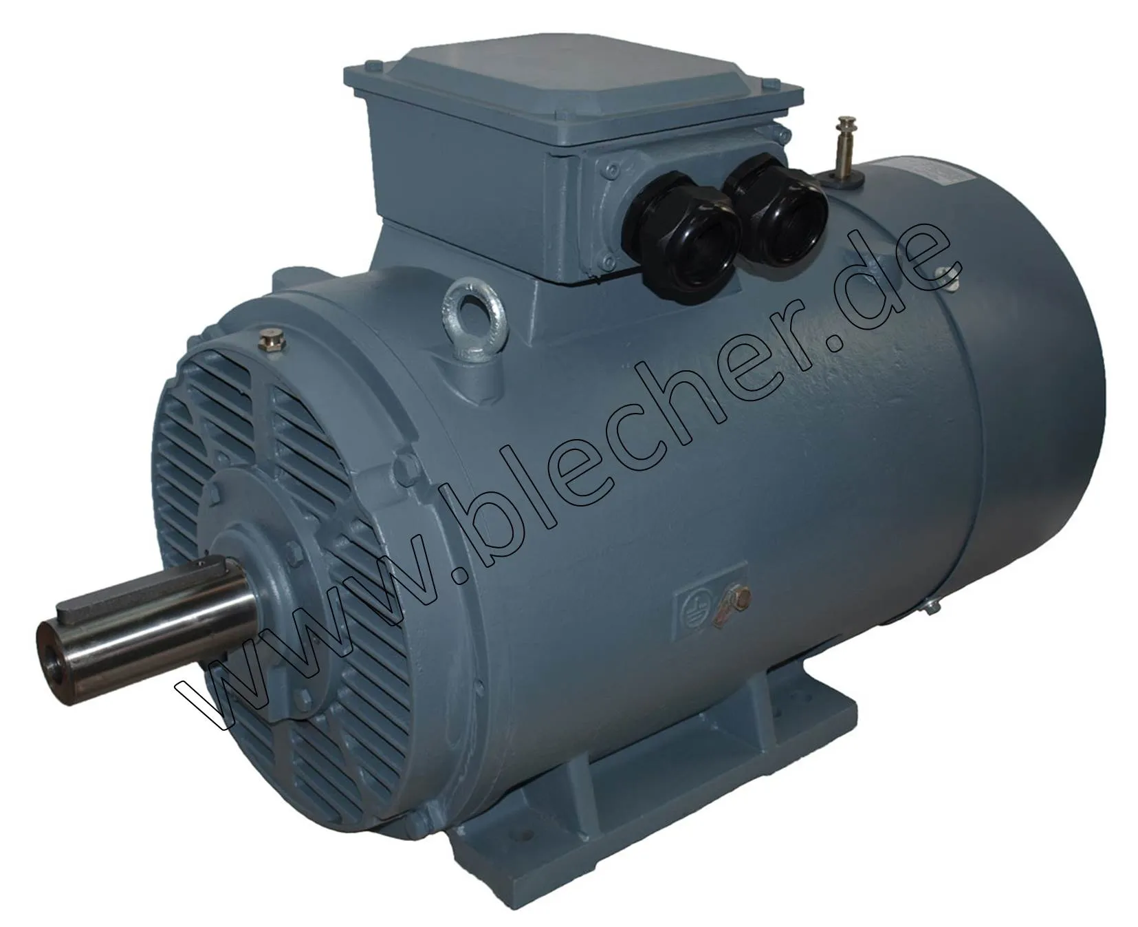 IP 23 Motoren von Blecher - zuverlässig, robust, günstig